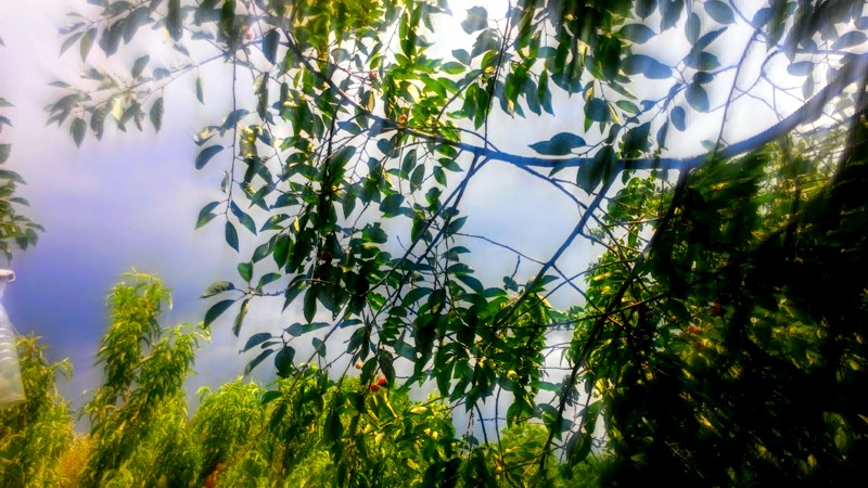 Iubesc ploaia... iubesc ploaia atât de mult cu tot ce înseamnă ea