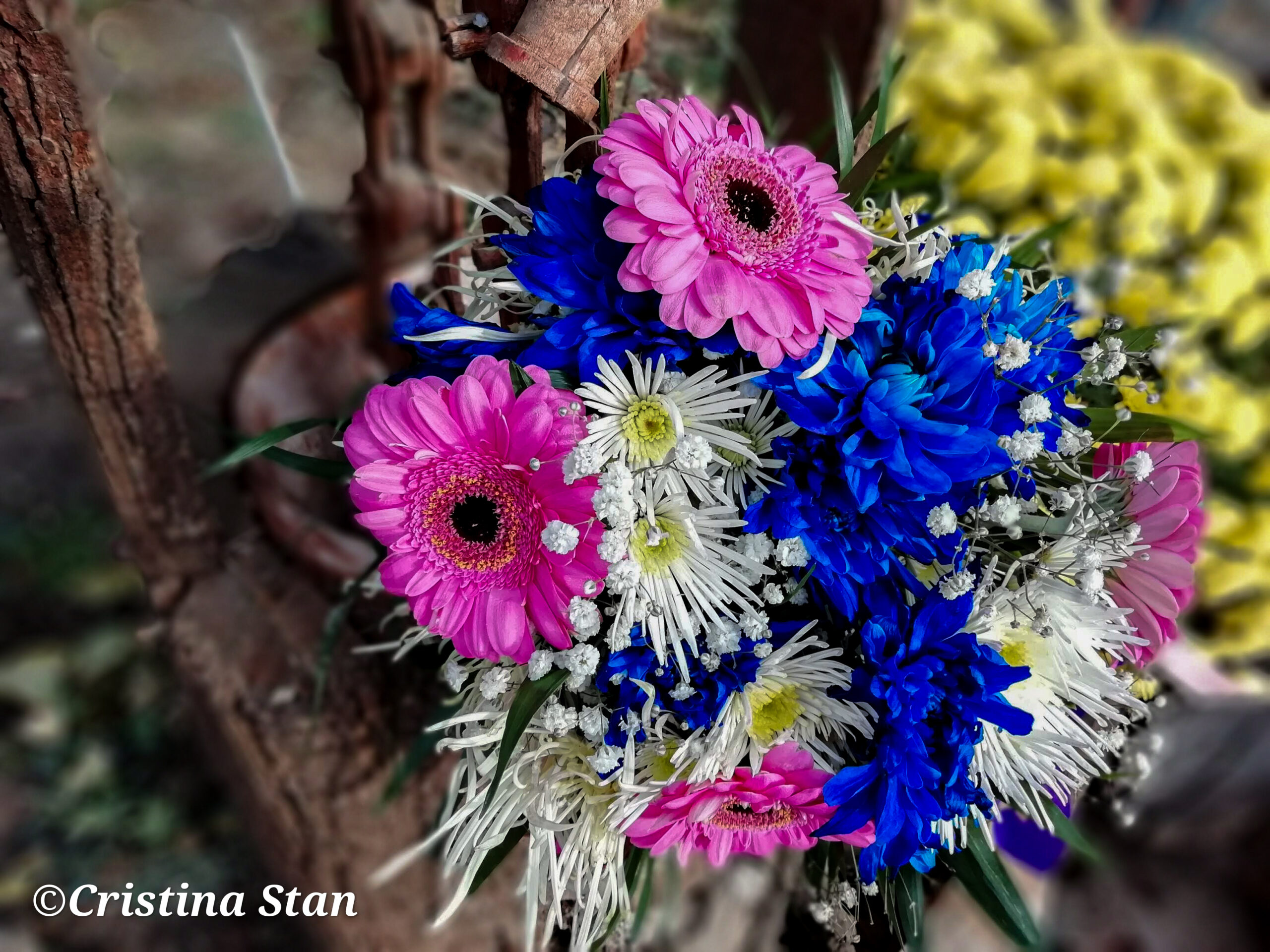 Ce faci când nu ai flori la îndemână pentru ocazii deosebite?